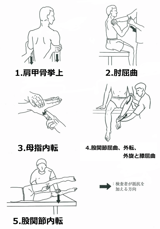 【OT/共通】MMTについての問題「まとめ・解説」 | 明日へブログ